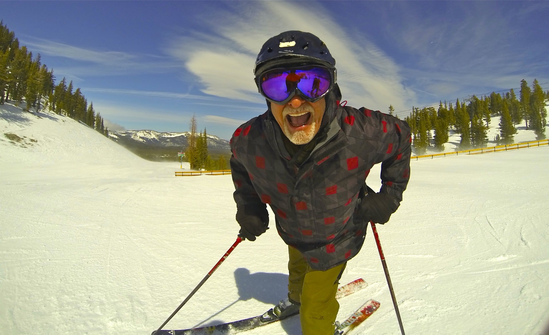 Boomers Photo Gallery – Boomers On Groomers
