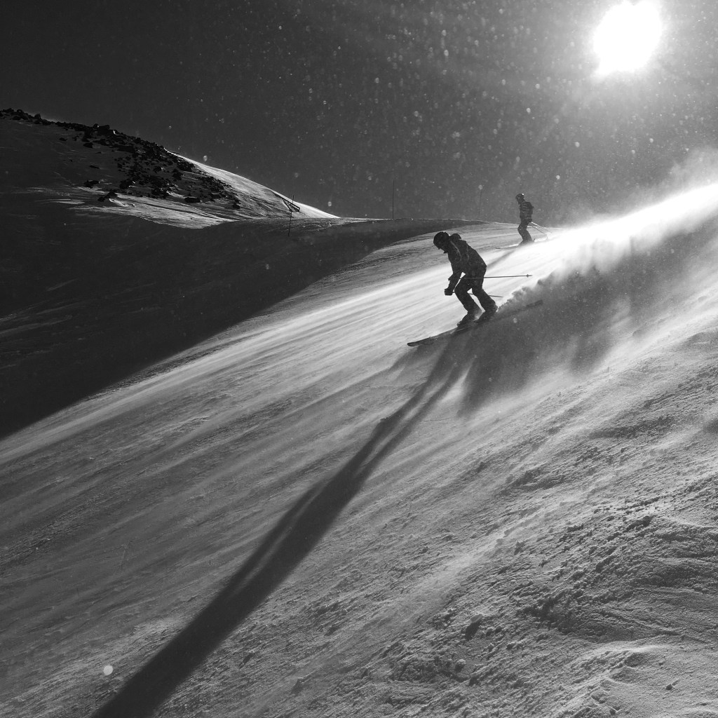 Boomers Photo Gallery – Boomers On Groomers