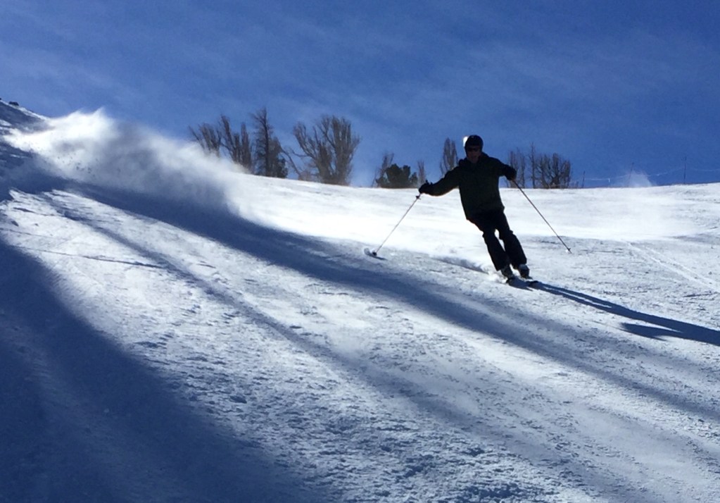 Boomers Photo Gallery – Boomers On Groomers